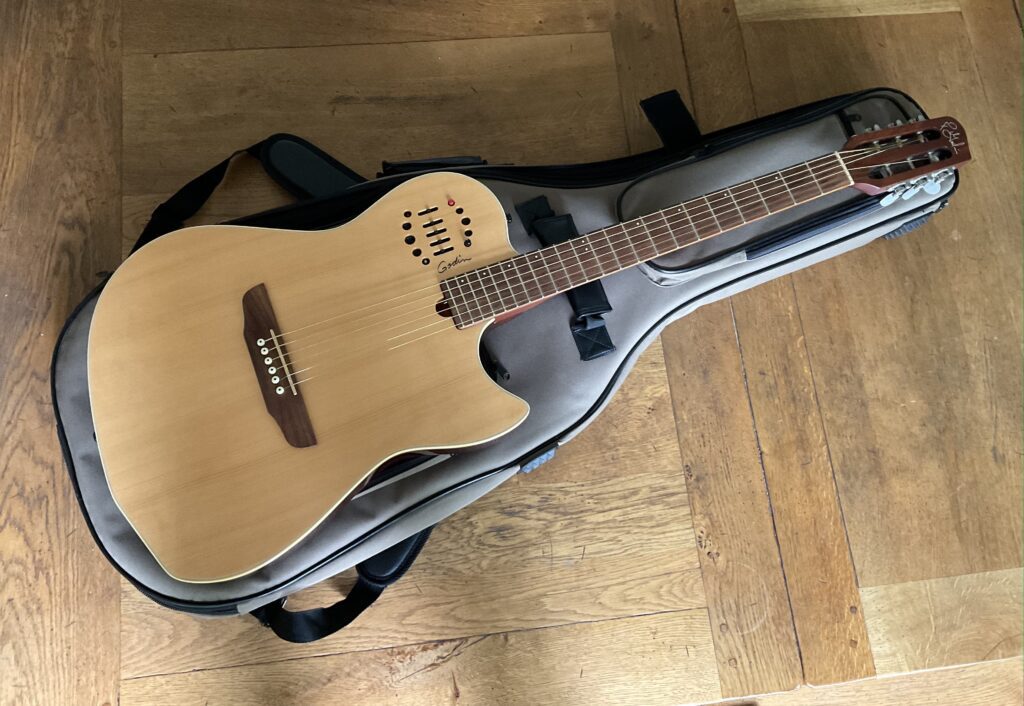 Godin Multiac Steel Duet (Used) - Vintage & Modern Guitars