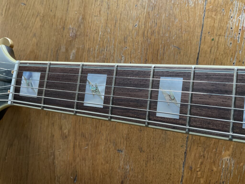 Emily Wolfe Sheraton Stealth Black Sold - Vintage & Modern Guitars